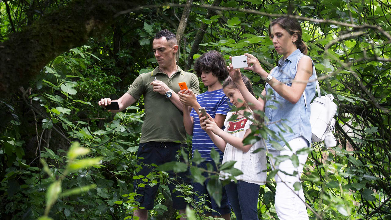 Bad Tales (Favolacce) - 2020 - films released 2000 - 2020 - films ...